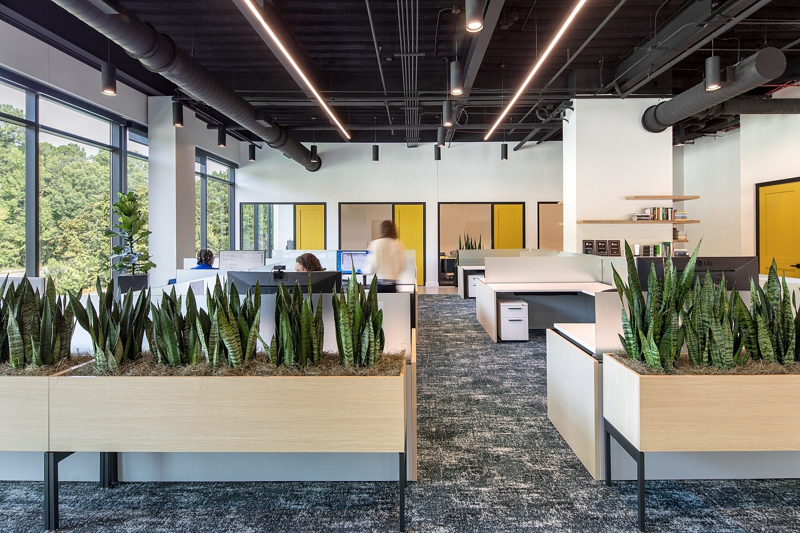 Alfred Williams & Company | Delegate Advisors