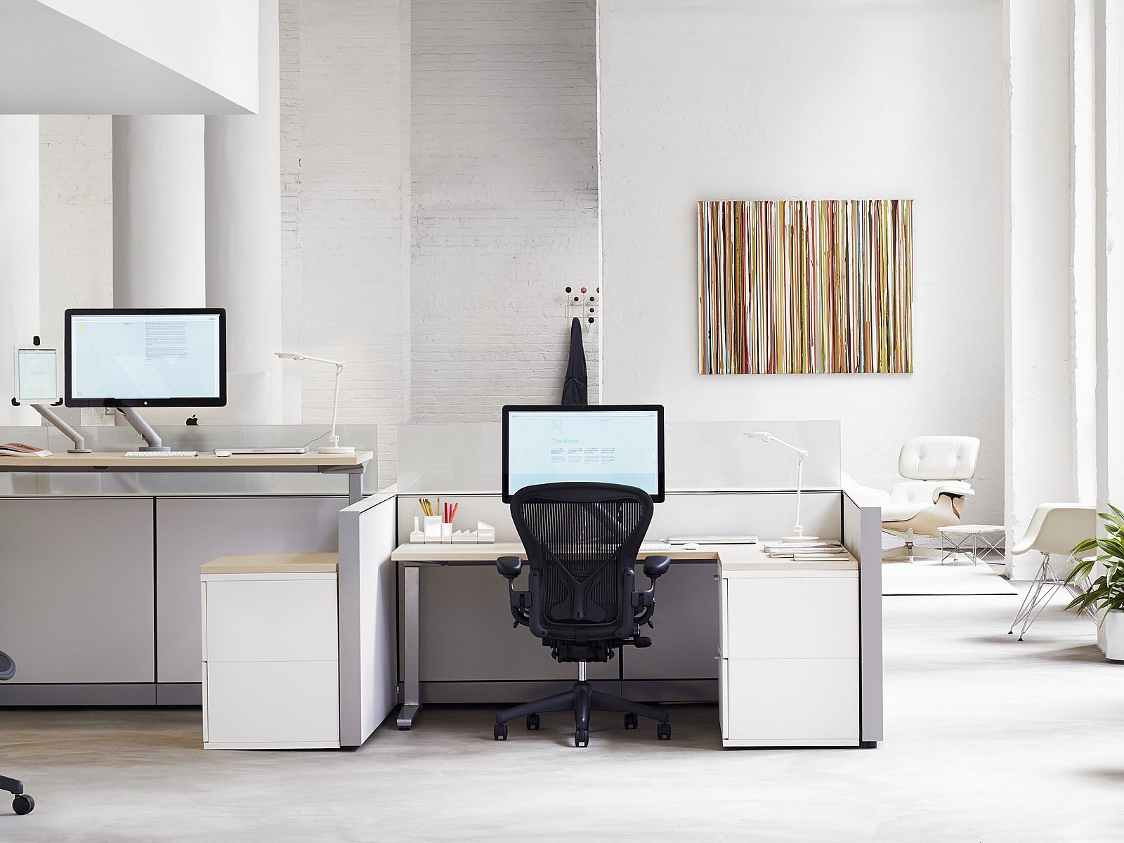 Alfred Williams & Company | Services