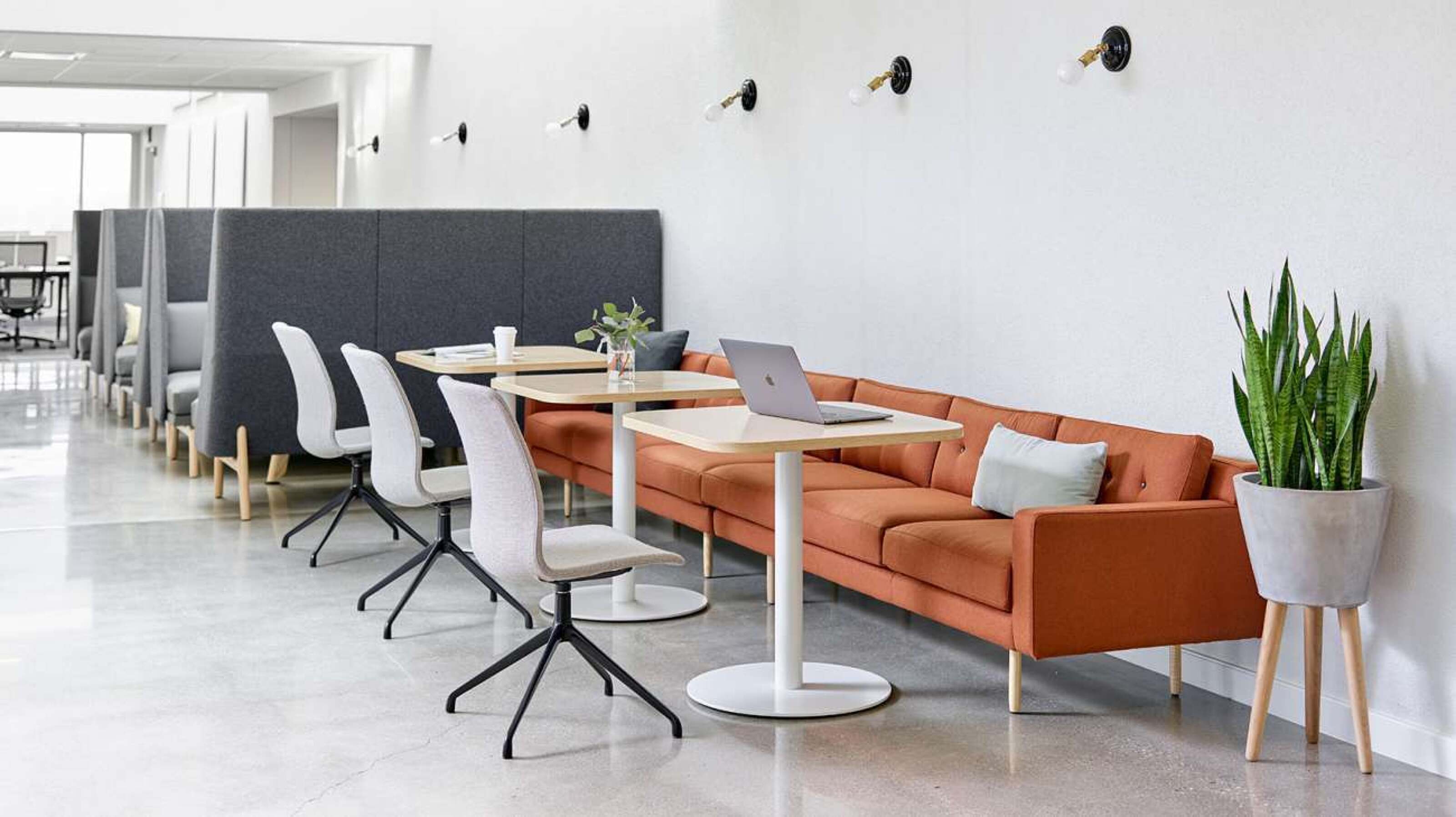 Alfred Williams & Company | OFS Brands